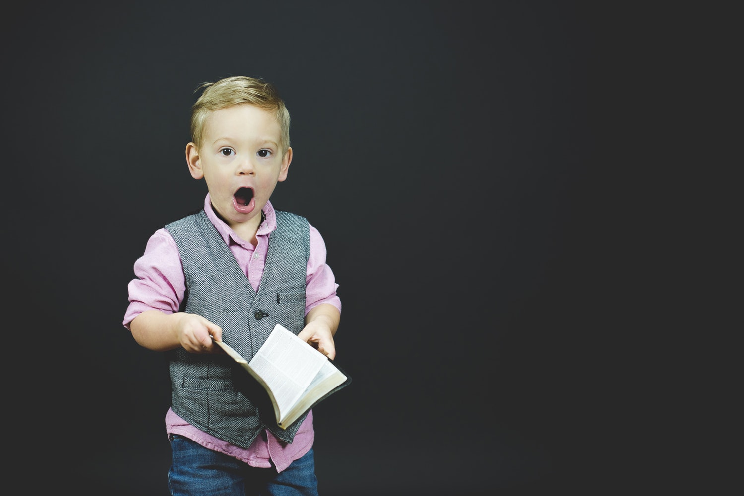 WCAG 3 1 5 Reading Level Monday Loves You
